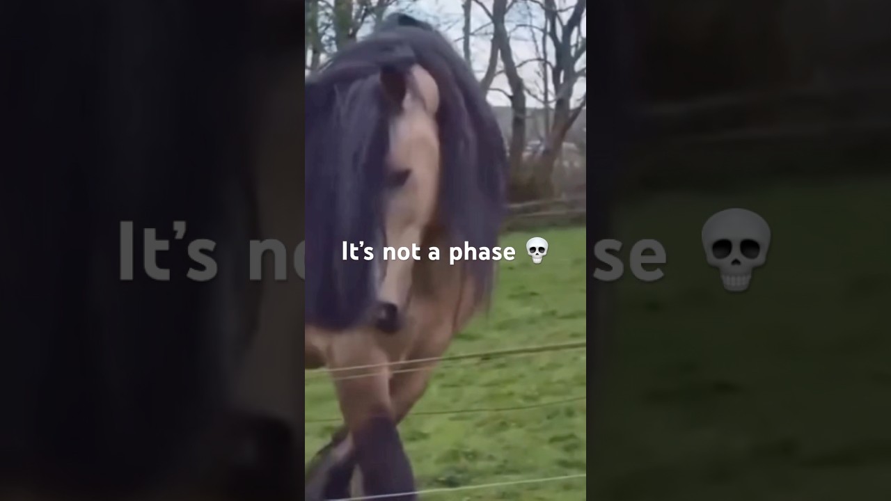 Emo Horse? #horse #funny #fyp #viral #phase #youtubeshorts