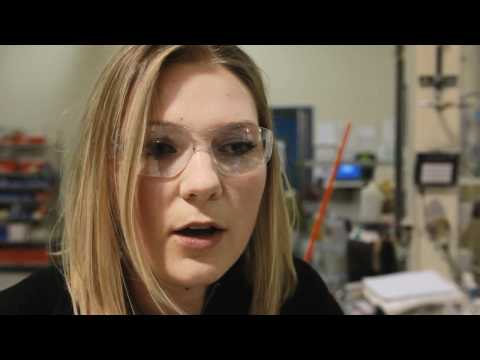 Employment Consultant - Life Skills St. Louis - Job Preview