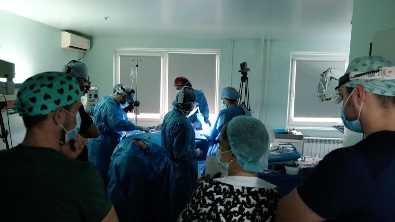 Third mission of American surgeons will provide free face and neck ...