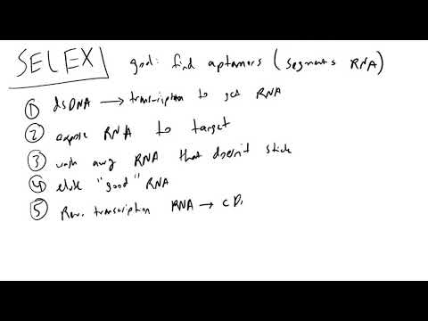 SELEX High Throughput Screening