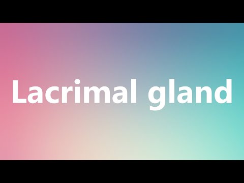 Lacrimal gland - Medical Definition and Pronunciation