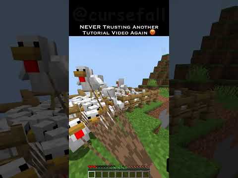 Minecraft Chickens Tricked Me 😭
