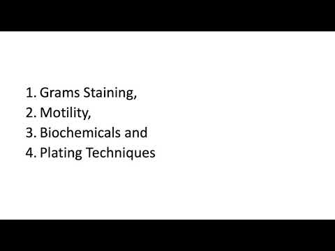 Microbiology Quiz 2
