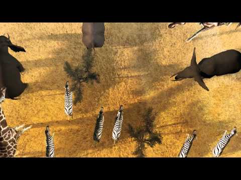 International Paper — Tidal MP Product Video