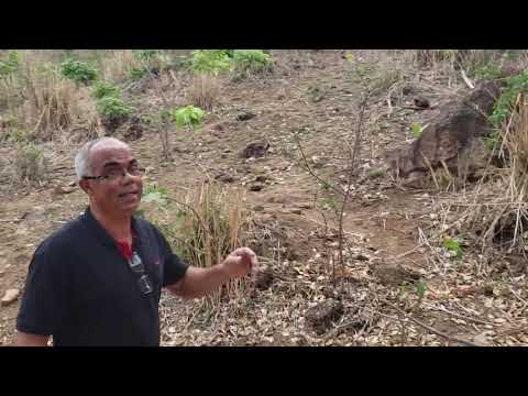 Visita à Cuparaque-MG - Dinart José de Souza