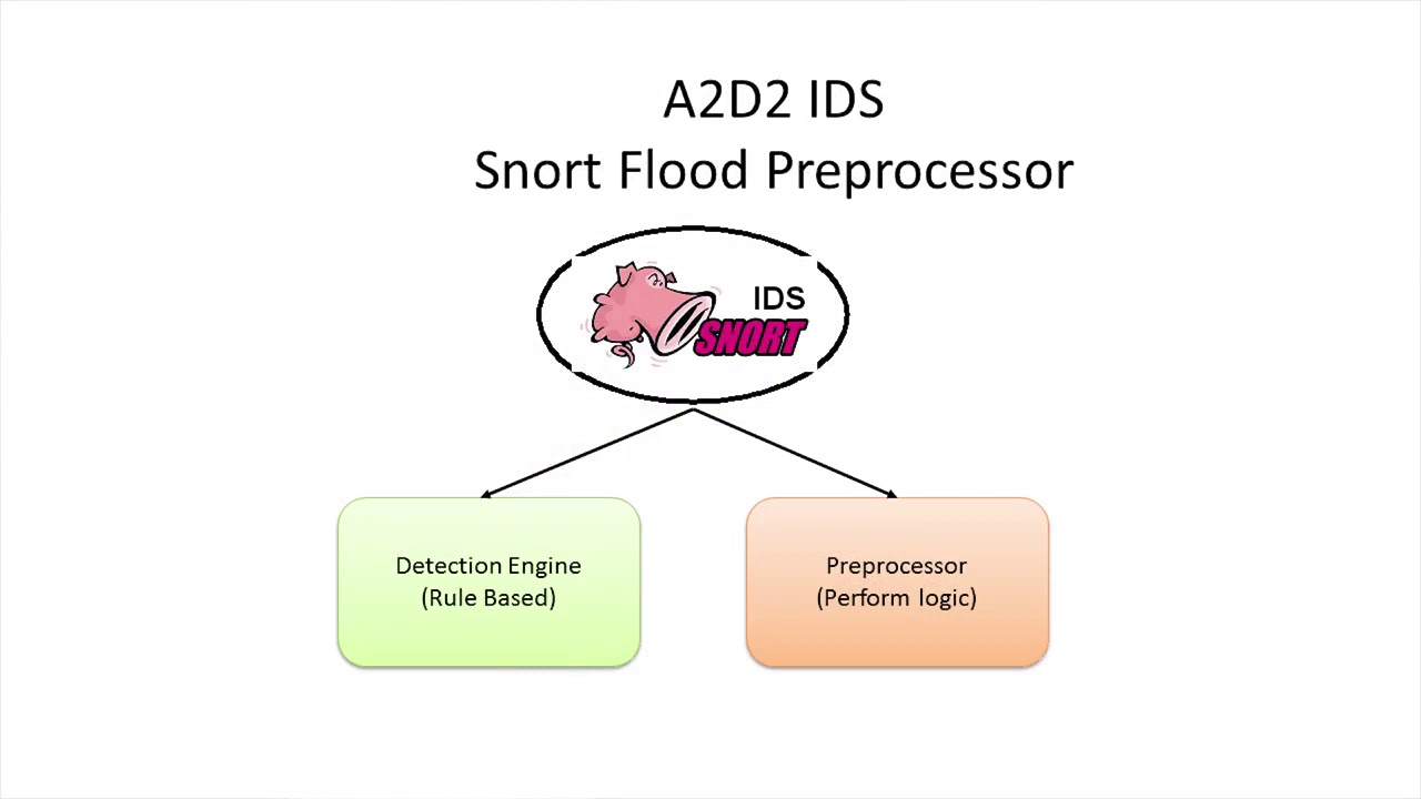 Autonomous Anti-DDoS Network - DDoS Attacks and Defenses