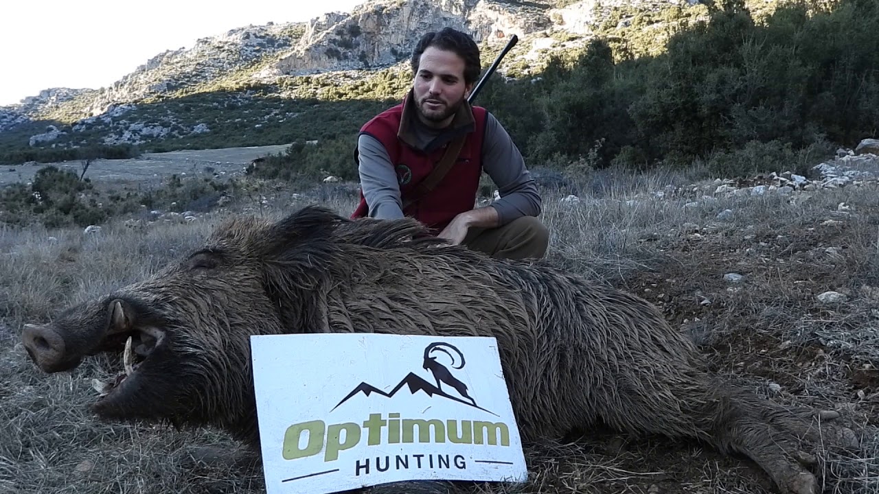 Optimum Hunting – Big game hunting at optimum prices