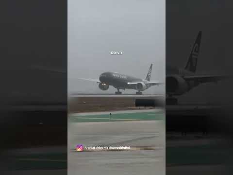 Classy Kiwi CAT III! (Air New Zealand 777 Auto-Landing in Low Visibility at LAX)