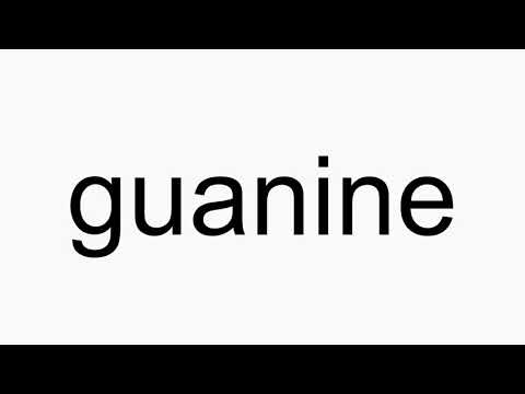 How to pronounce guanine