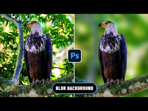 How to Quickly Blur Backgrounds in Photoshop 2024