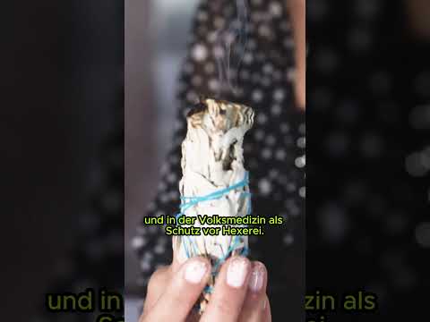 Beifuß
