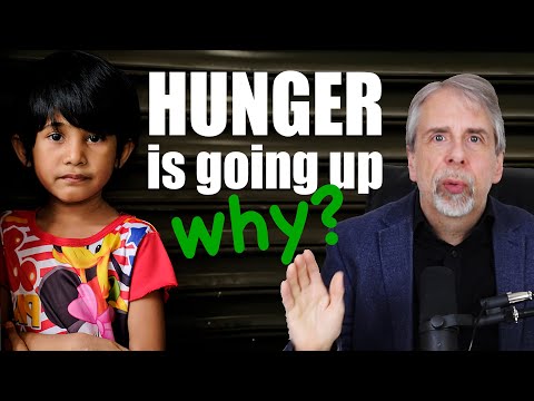 Why is world hunger GOING UP AGAIN?