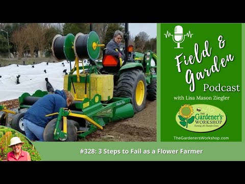 #328: 3 Steps to Fail as a Flower Farmer