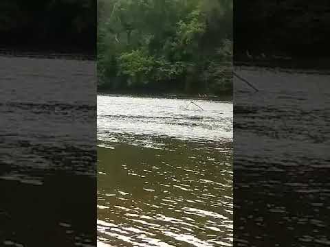 Watermelon Park Campground, VA | The Dyrt