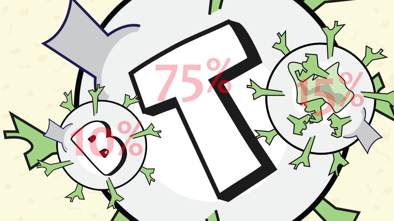 Video 9 White Blood Cells Types and Functions