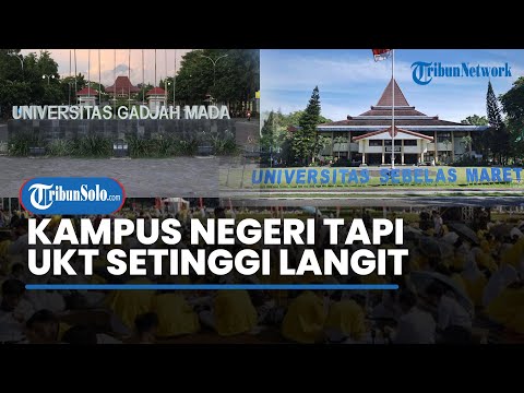 7 PTN dengan Biaya UKT Termahal di Indonesia Tahun 2024: Ada UI, UNS, Unri, hingga UIN Jakarta