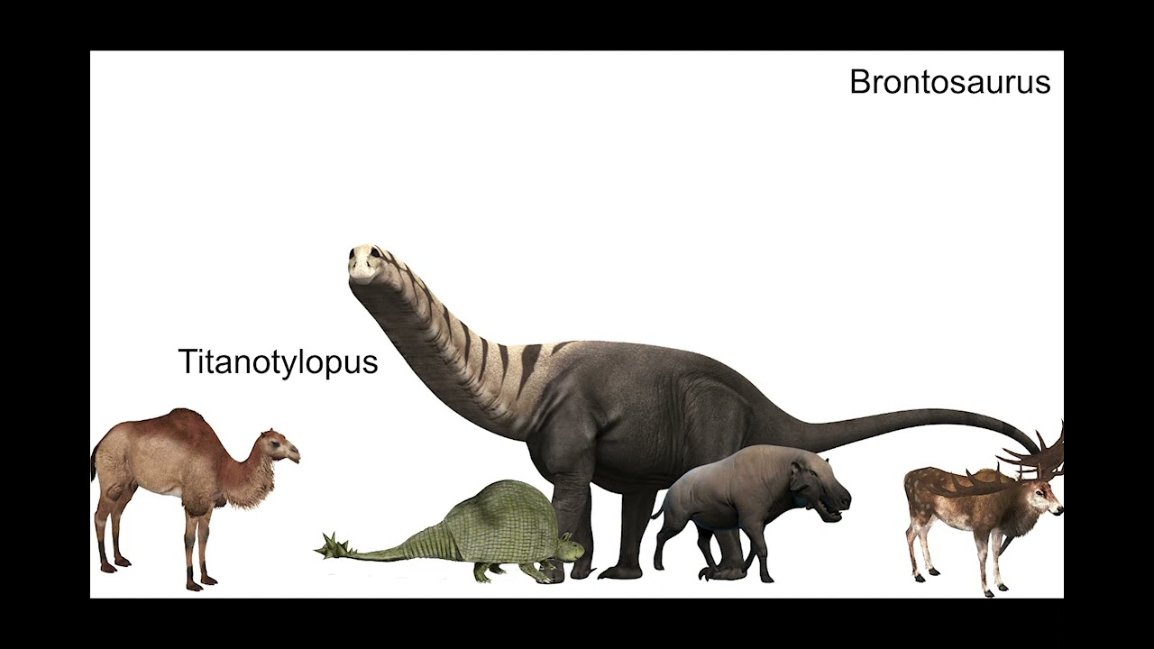 Brontosaurus Vs Prehistoric Creatures Size Comparison
