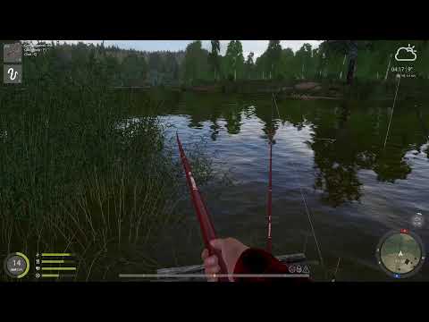 Beginner Fisherman: float and bottom fishing at Mosquito Lake