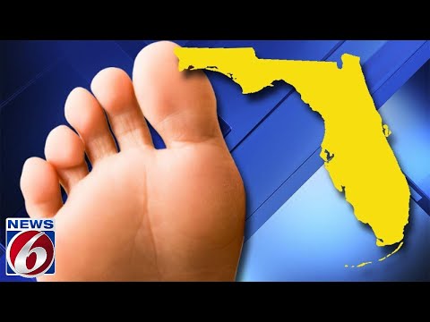 You might not have heard of this Florida slang before. Here's what it means
