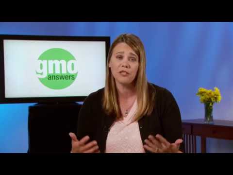 What is GMO?