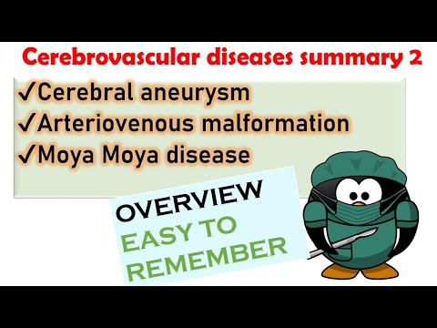 Cerebral Aneurysm, Arteriovenous malformation, Moyamoya disease SUMMARY OVERVIEW(made simple)