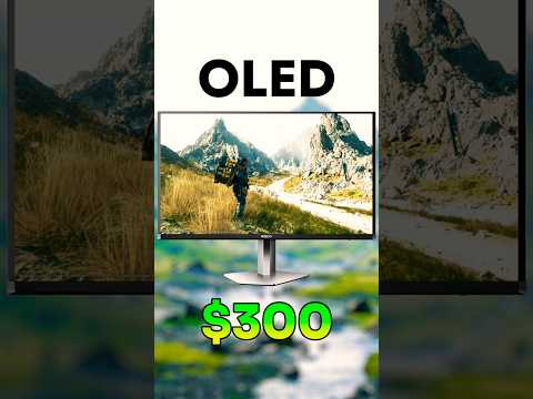 The Best BUDGET OLED Monitor.