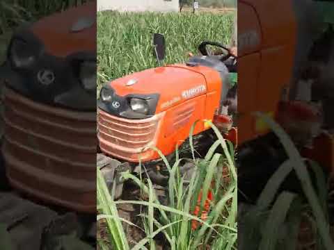 S12. Kubota B 2420 + Cultivator