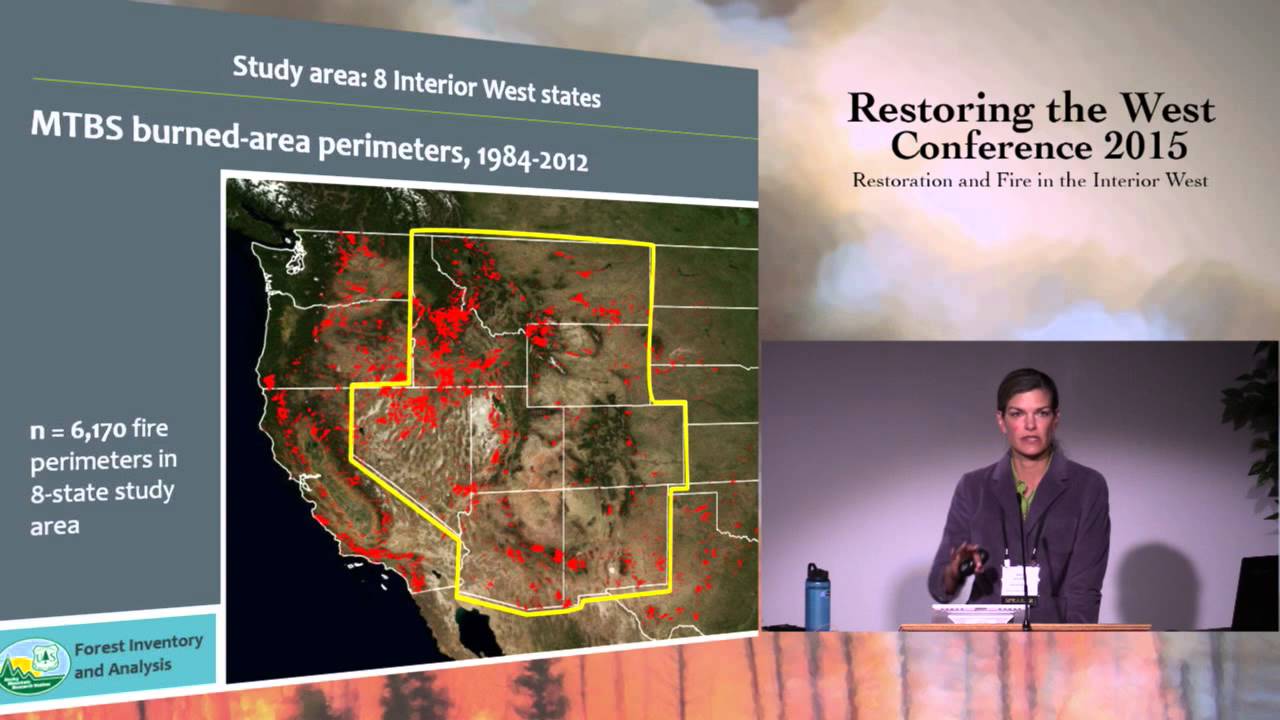 Integrated Analysis of Forestry Inventory Data and Long-Term Fire Mapping Datasets