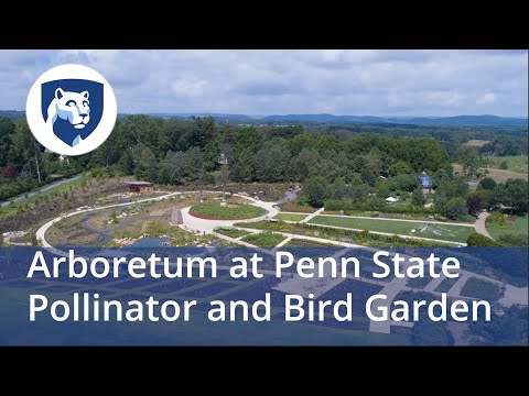 The Arboretum at Penn State: Pollinator and Bird Garden