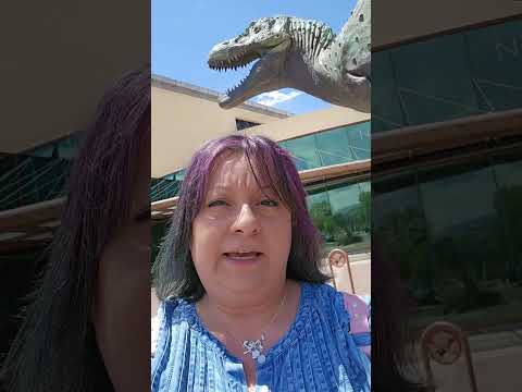 Hot Afternoon at the New Mexico Museum of Natural History and Science