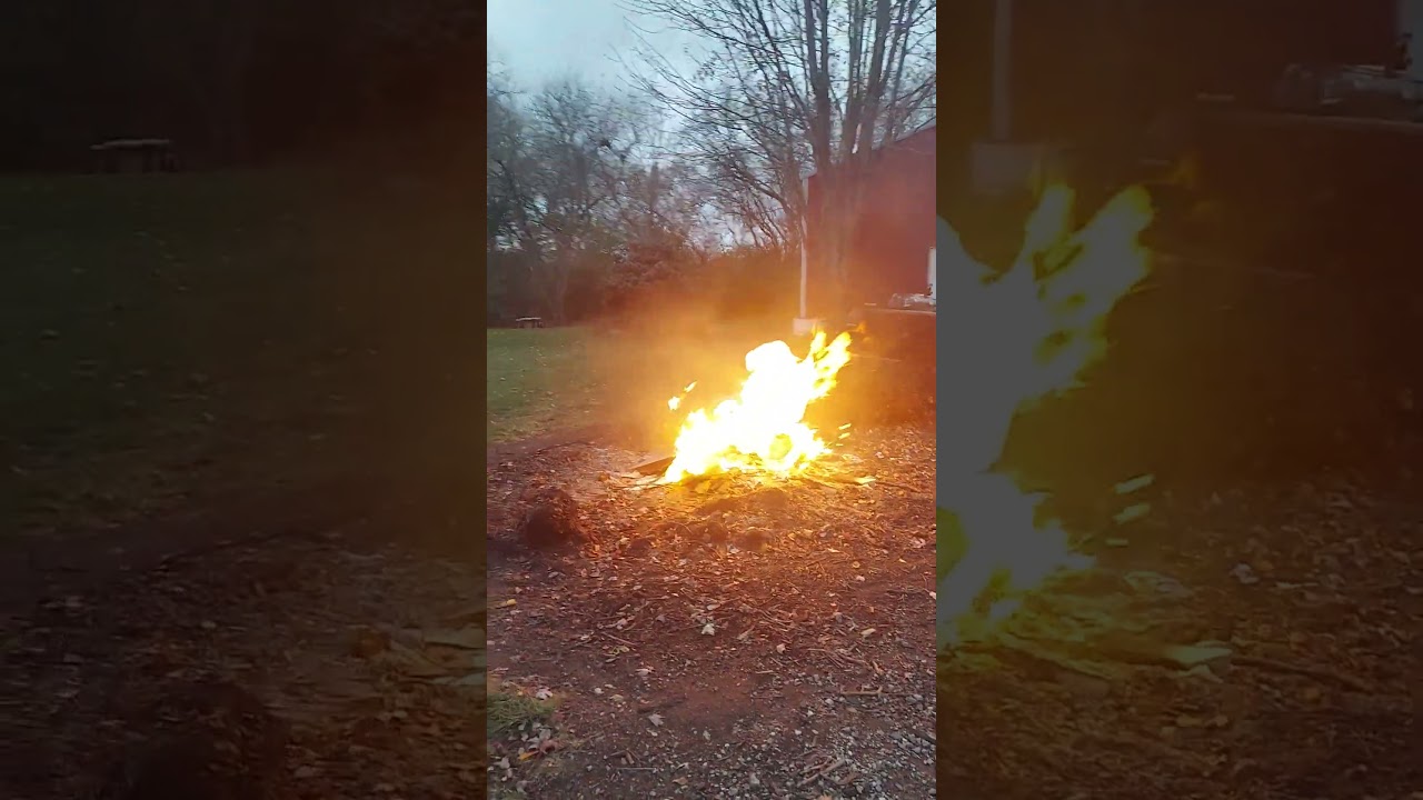 🐔 Bonfire Lit For Chilly Chickens 🥚🍂🐣