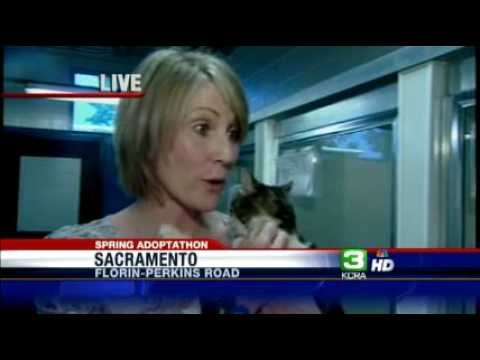 Foreclosures Force Many To Give Up Pets