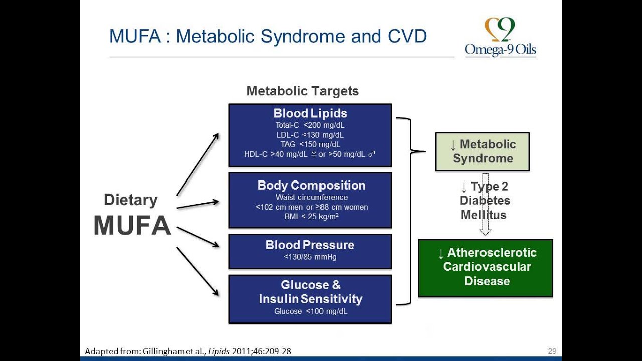 Omega-9 Oils MUFA White Paper Research Presentation