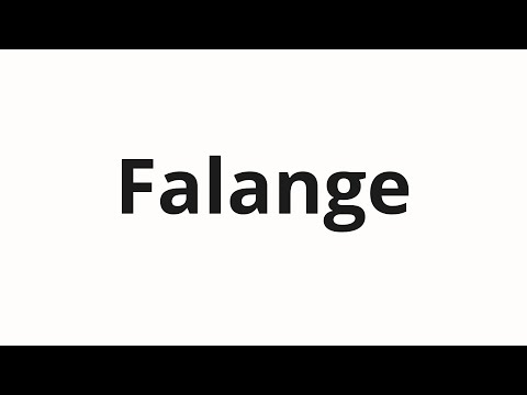 How to pronounce Falange
