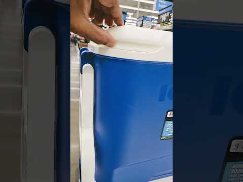 Igloo coolers at Walmart #walmart #igloo