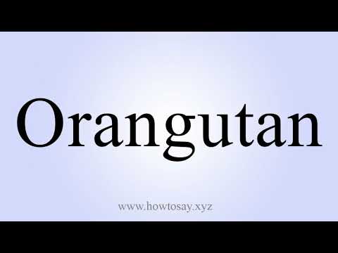 How to Say Orangutan