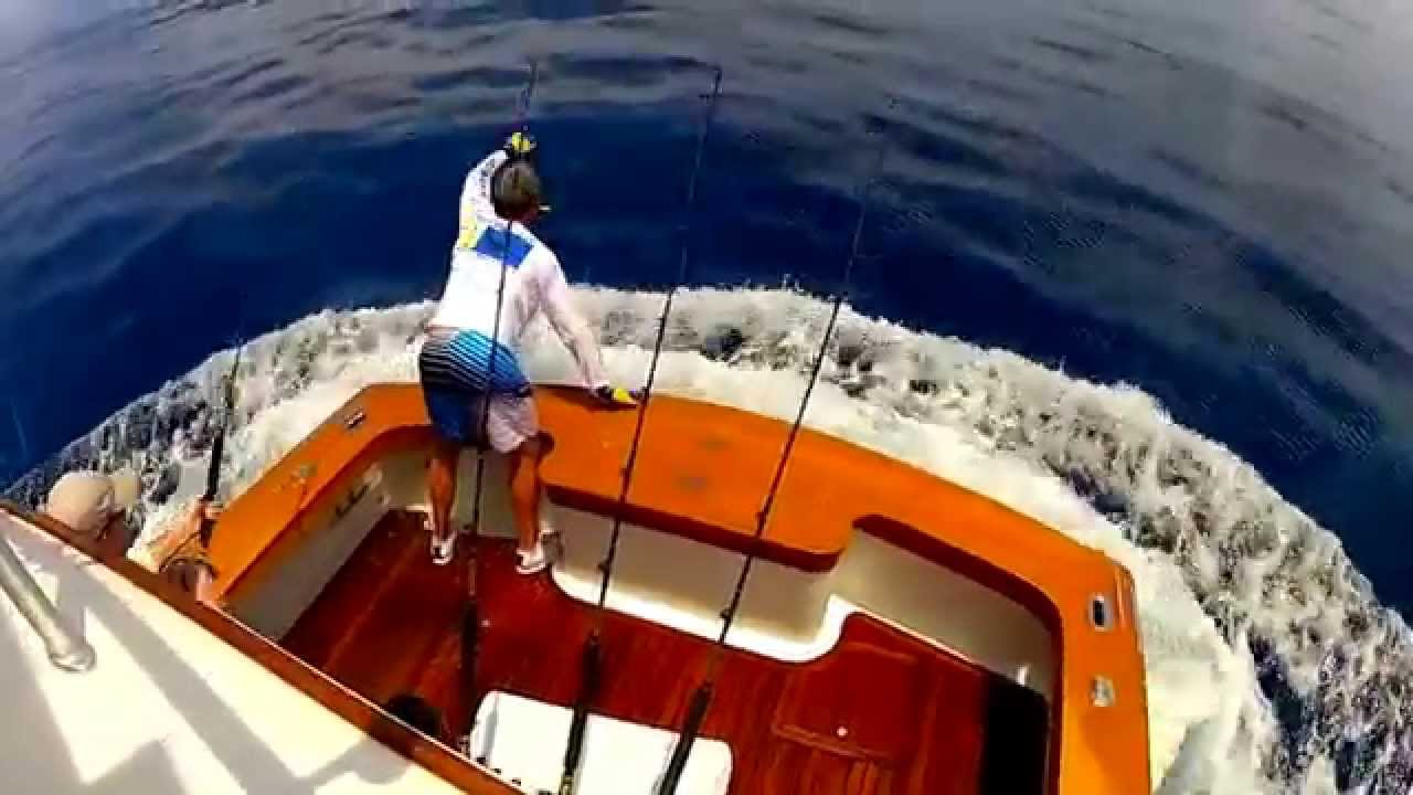 Blue Marlin off Savannah Georgia on the 41 RICKY SCARBOROUGH