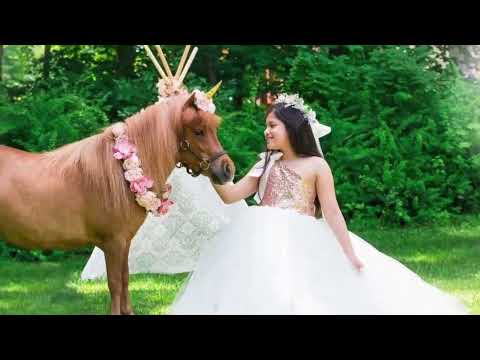 trim 9446FD1C 124F 43AB B075 500E65DF4561 lom6bv YouTube