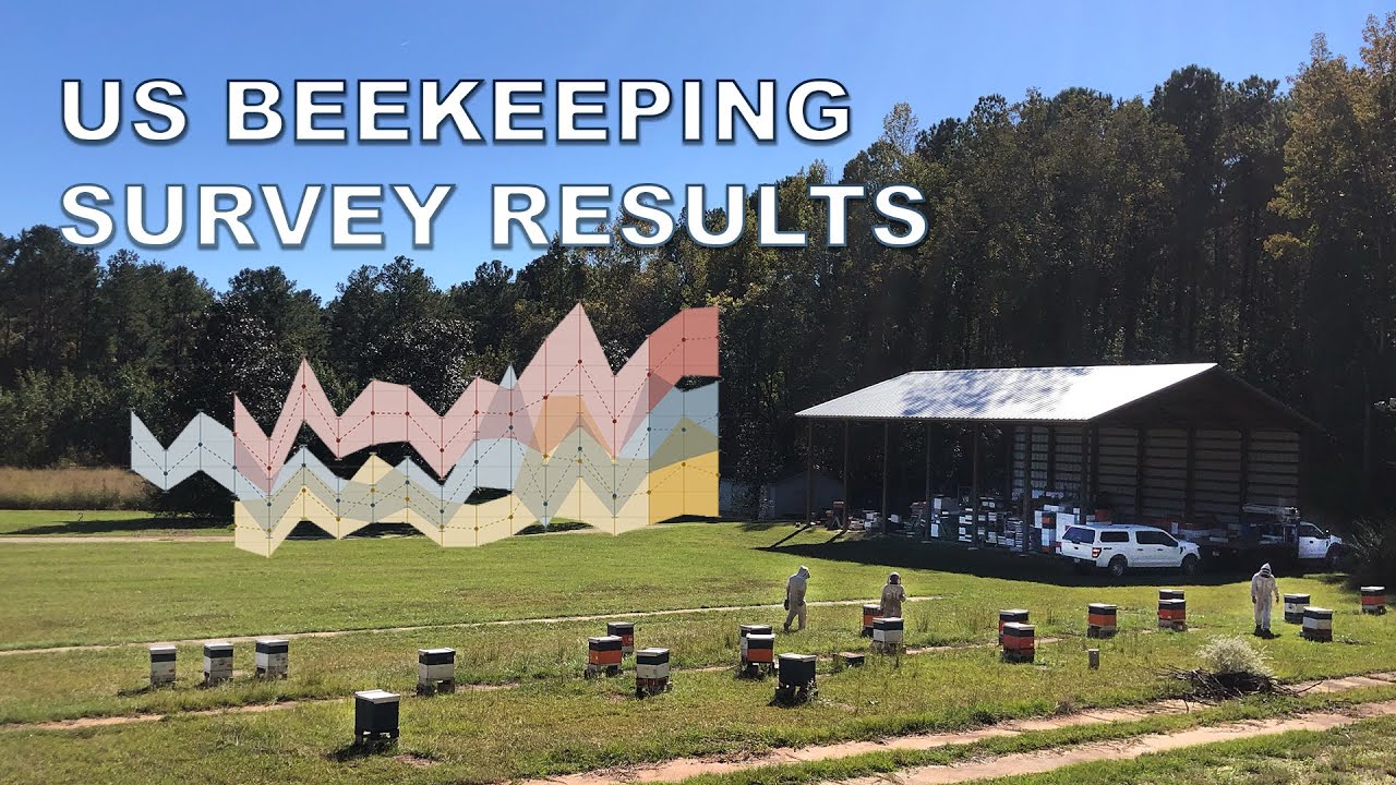 Update 18: 2024–2025 U.S. Beekeeping Survey: Summary of Colony Loss and Management Results