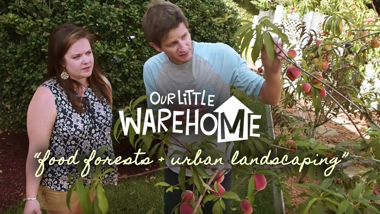 Our Little Warehome: 