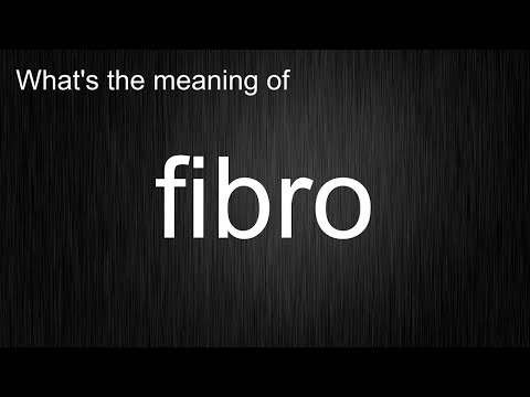What's the meaning of "fibro", How to pronounce fibro?