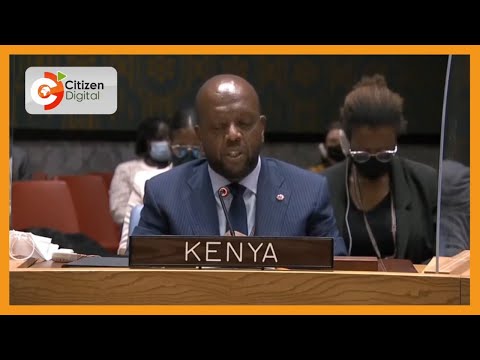 Powerful Speech by Kenyan Ambassador Martin Kimani at the UN Security ...