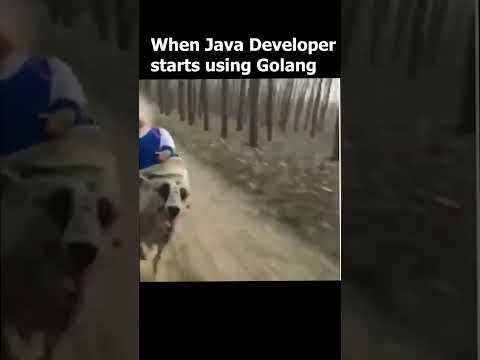 When Java Developer Starts Using Golang #programmerhumor