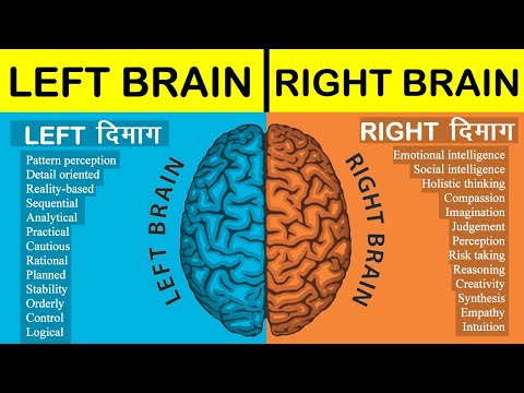Left brain vs Right brain Full Comparison in Hindi 2021 | Left brain vs Right brain which is better