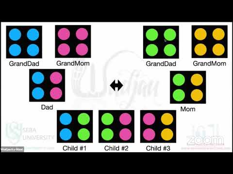 Believe it or not - Full blood siblings do not have the same DNA ancestors. Part 1