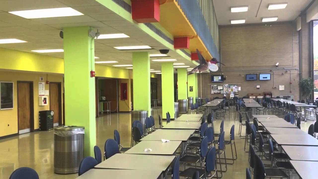 Fire alarm test - Simplex code 3 (temporal alert) with synchronized strobes