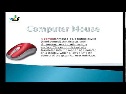 What is a Computer Mouse?