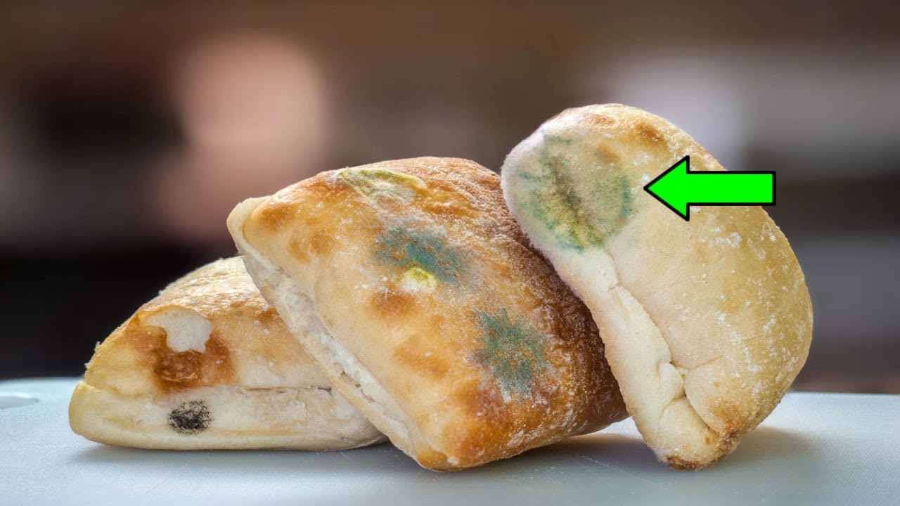 mold-food ASL