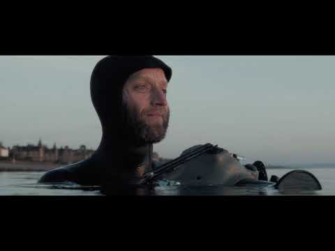The Ripple Effect
