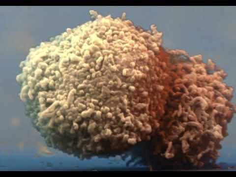 Ett nanoljus runt en T-cell